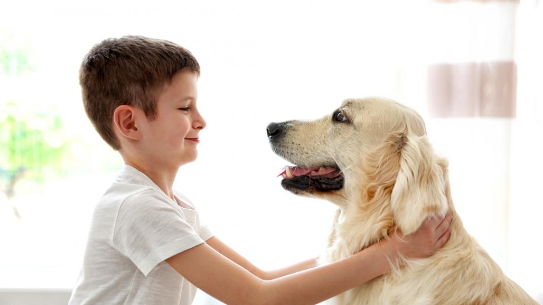 Αλλάζουν όλα με το pet.gov.gr και το Mypet–pass: Τι είναι το Εθνικό ...