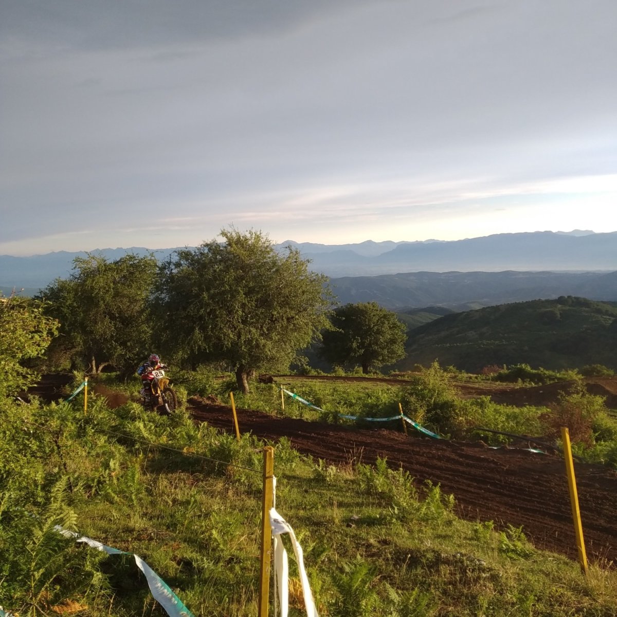 Πλούσιες δράσεις στο Mamali Festival 2022 - LarissaPress