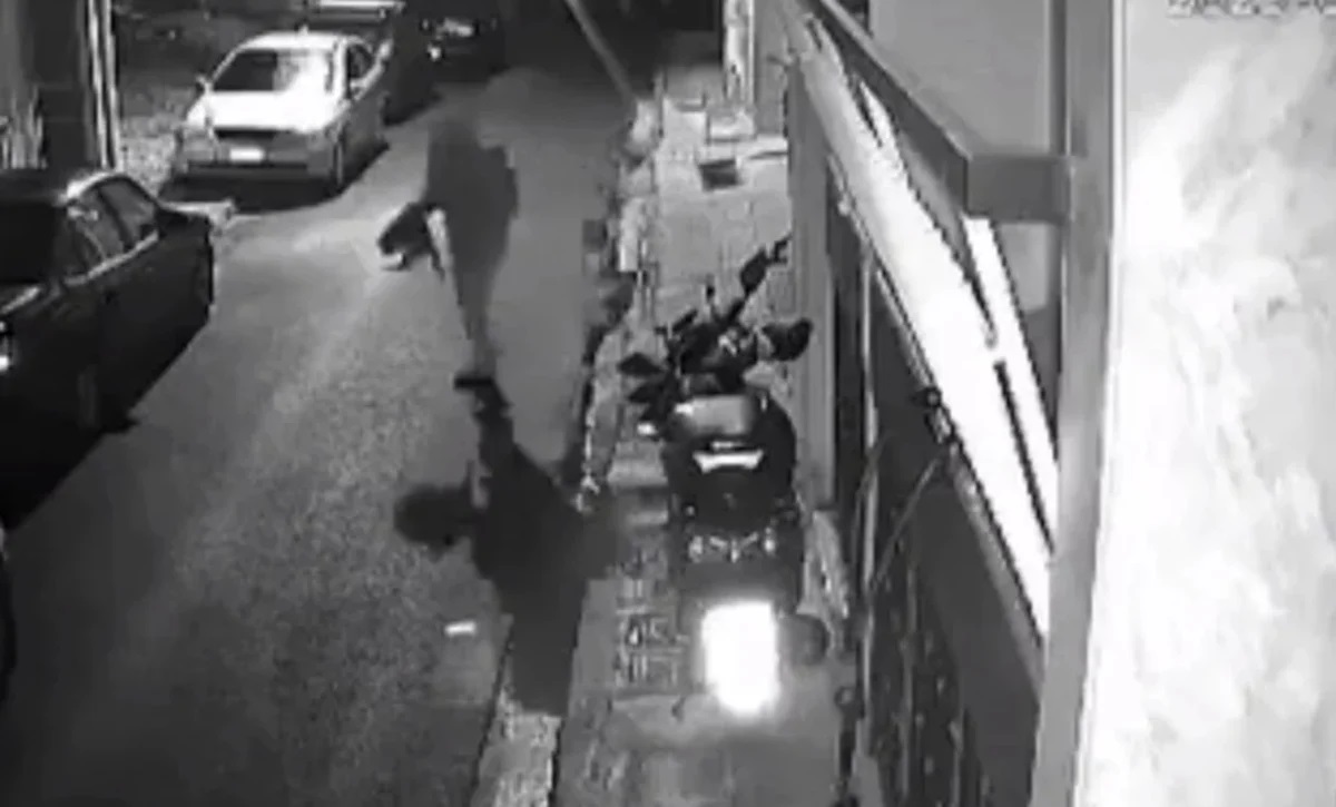 Φρικιαστικό βίντεο - Αθήνα: Σκότωσε γατάκι με τα χέρια του και το πήρε ...