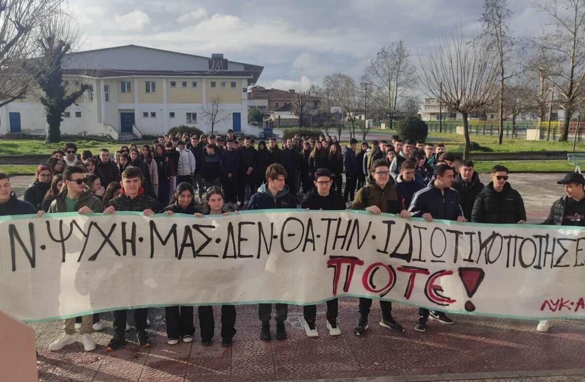 Λύκειο Αμπελώνα: Την ψυχή μας δε θα την ιδιωτικοποιήσετε ποτέ ...