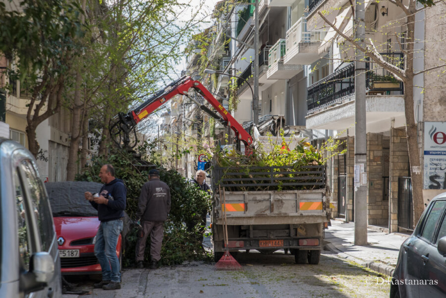 Κλαδέματα δένδρων σε τμήμα της Ηρώων Πολυτεχνείου - LarissaPress