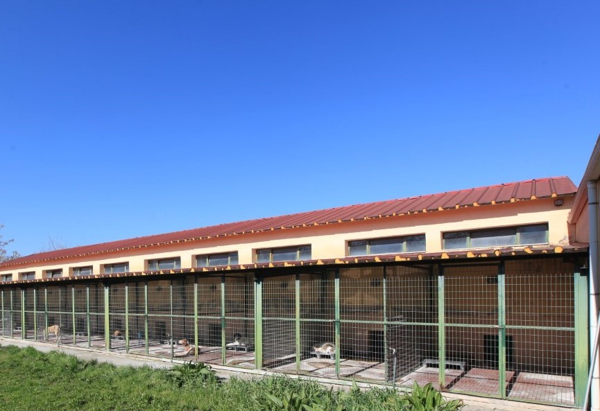 Δημοπράτηση κατασκευής καταφυγίου αδέσποτων ζώων στον Δήμο Τεμπών ...