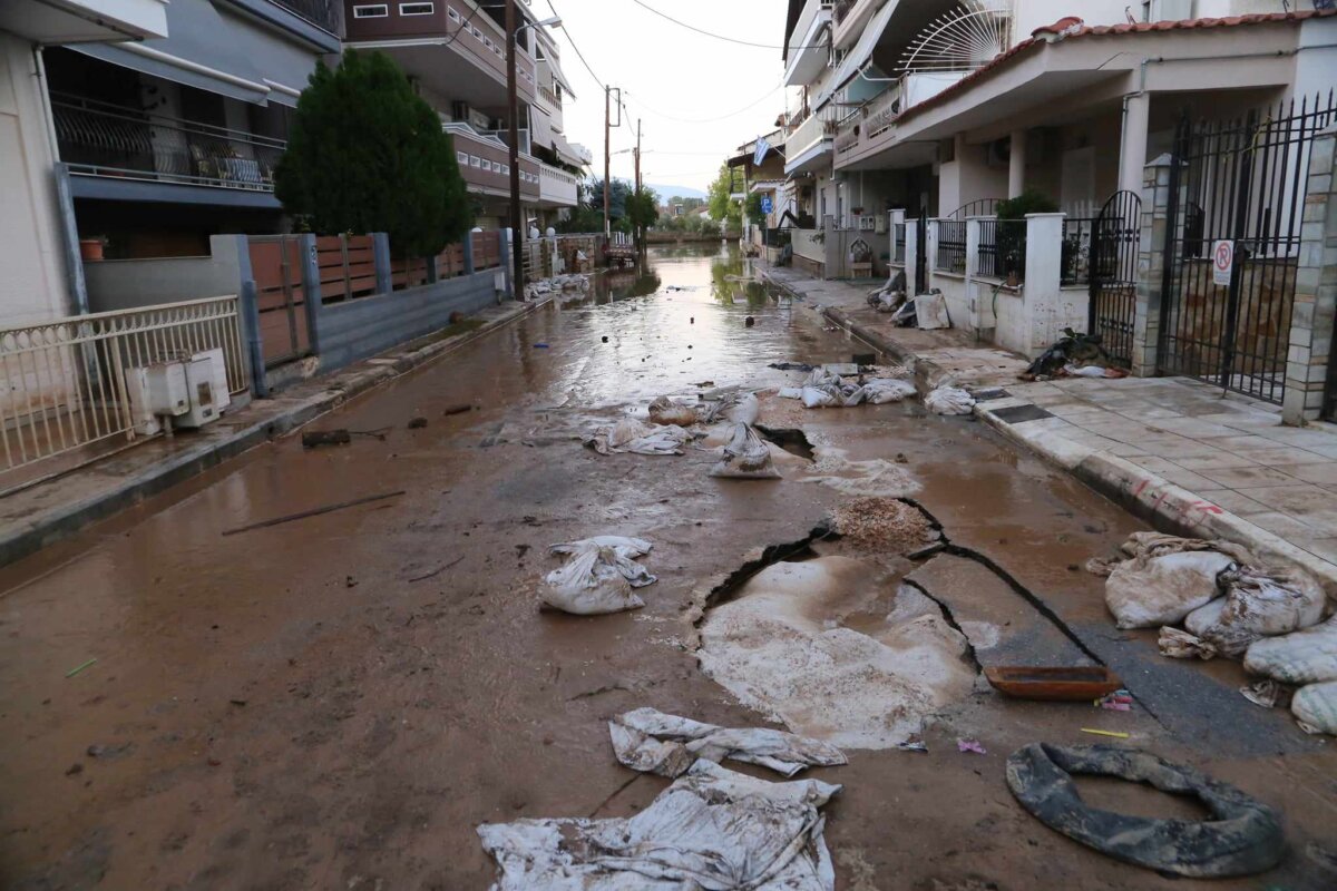 Επιμελητήριο Λάρισας: Αίτηση και Δικαιολογητικά Πληγεισών Επιχειρήσεων ...