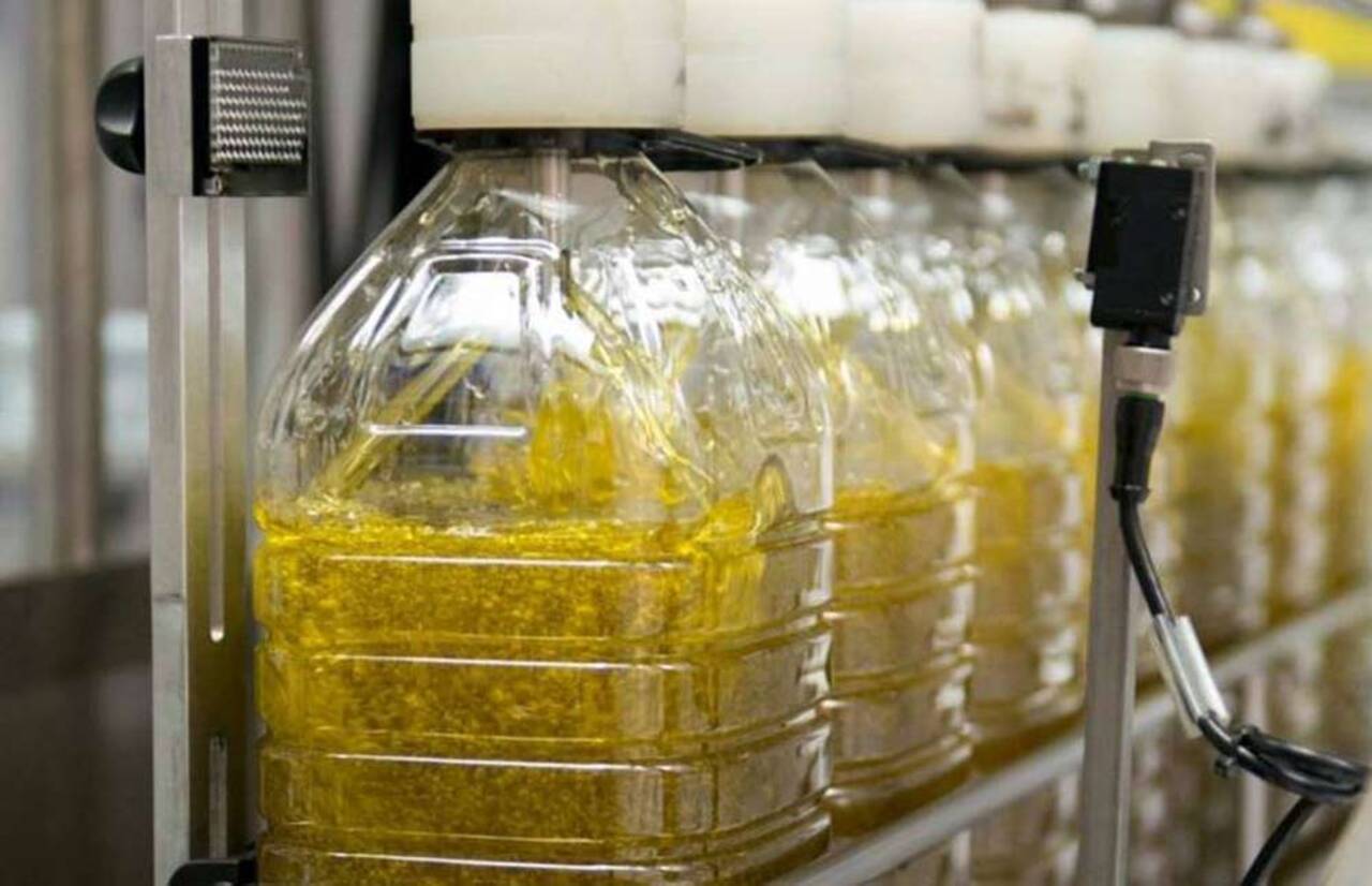 Ελαιόλαδο: Στο μισό η χονδρική- Αμετάβλητες οι τιμές στα ράφια ...