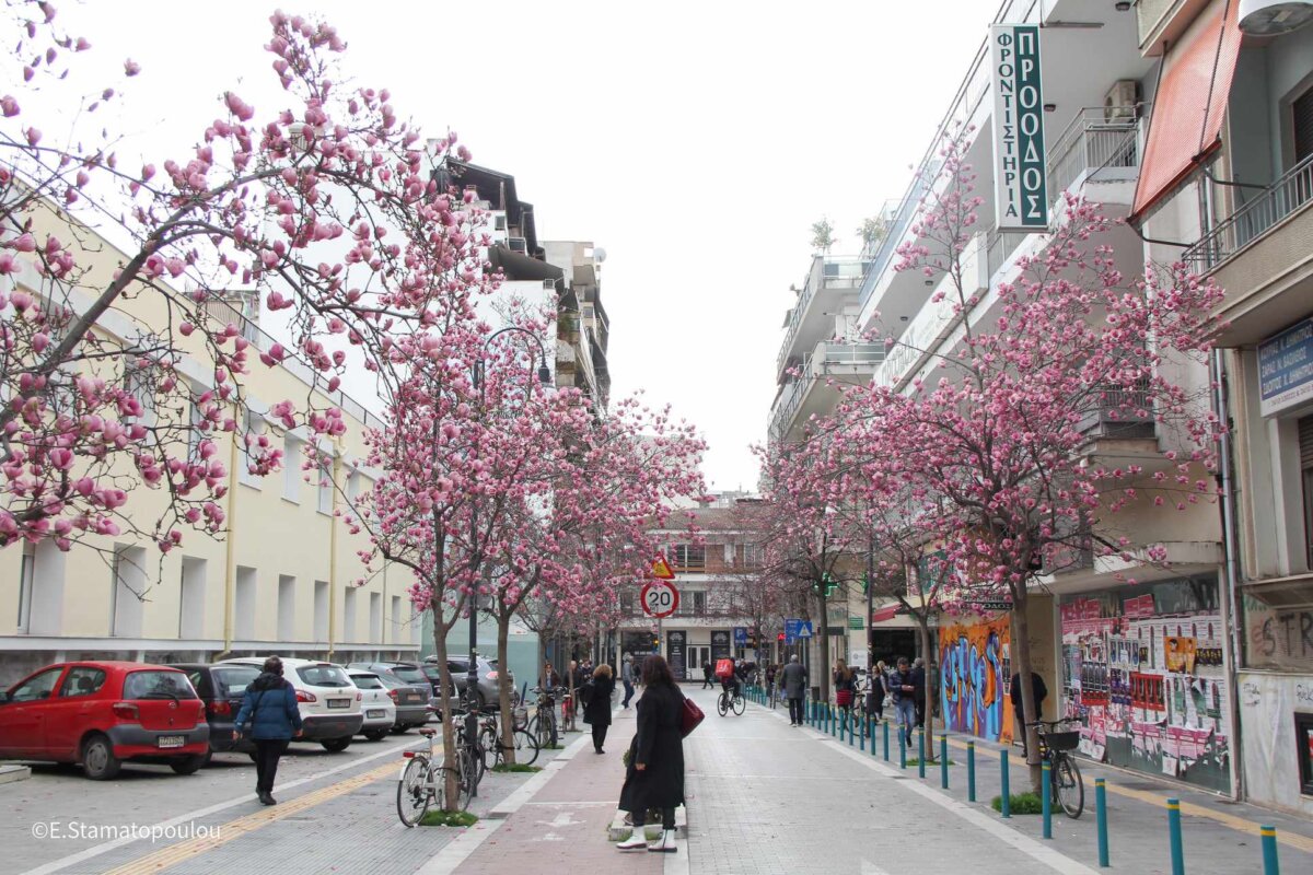 Μύρισε... άνοιξη στη Λάρισα - LarissaPress