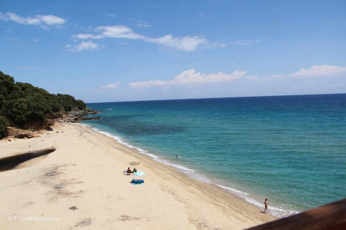 Ξενάγηση δημοσιογράφων στα παράλια της Αγιάς: Ένας κρυμμένος θησαυρός ...