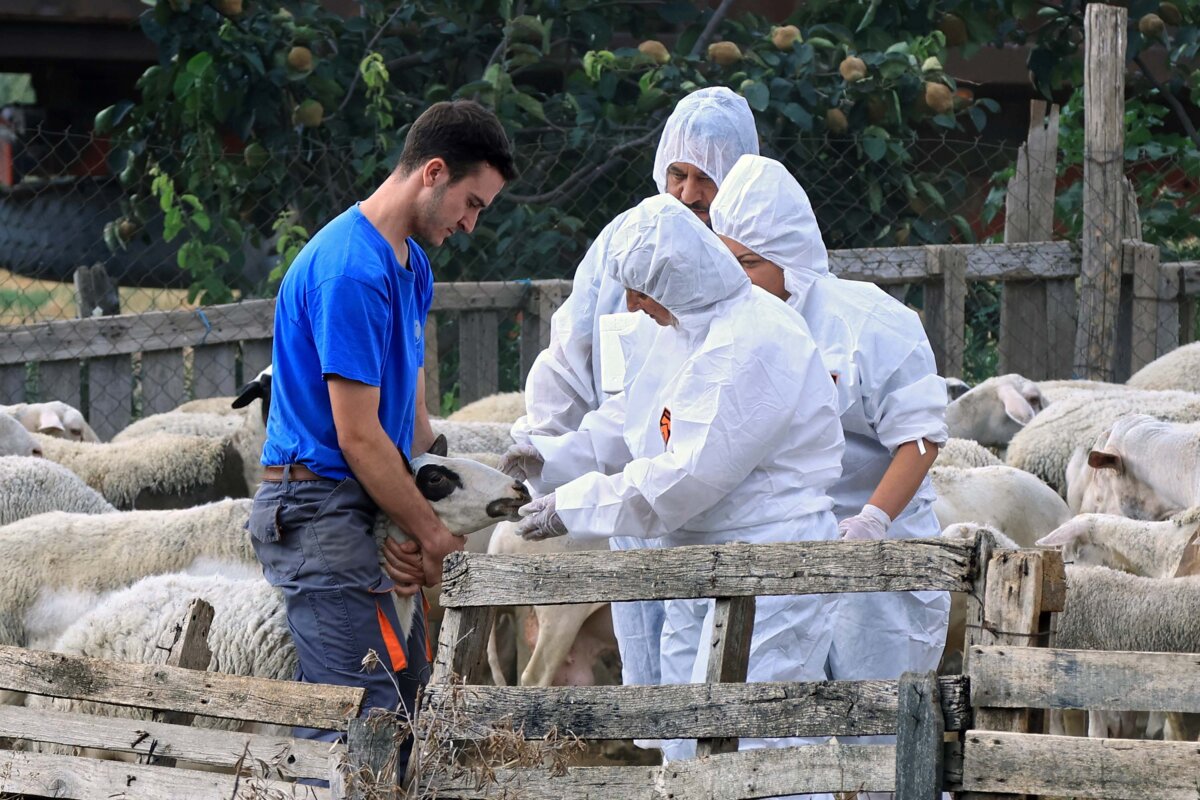 Περιφέρεια Θεσσαλίας: Οι νέες ζώνες προστασίας και επιτήρησης της ...