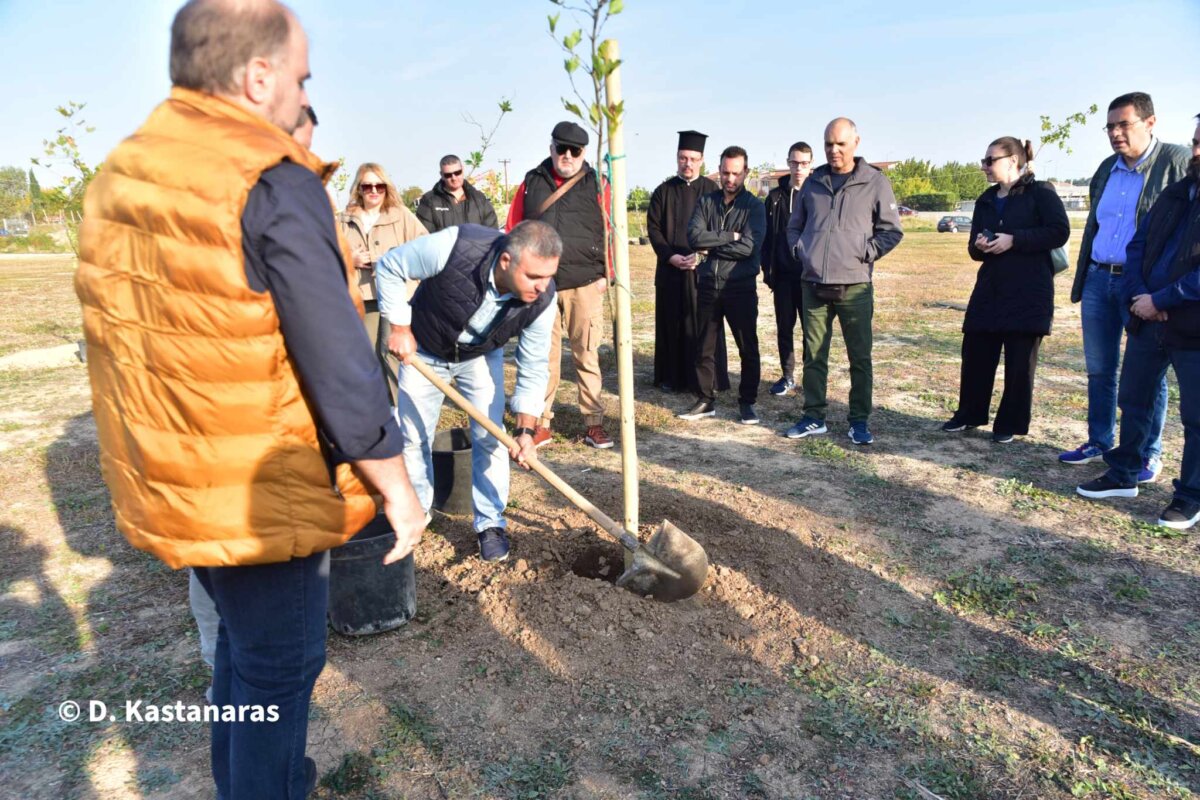 Το Τμήμα Αιμοδοσίας του ΠΓΝΛ για τη δεύτερη δενδροφύτεση - LarissaPress