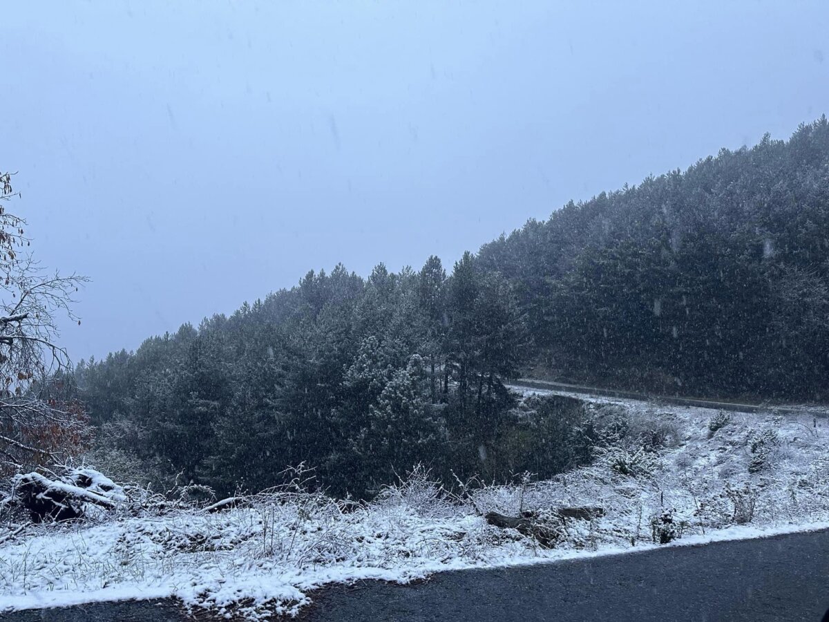 "Άσπρισε" στο Λιβάδι Ελασσόνας (φωτό) - LarissaPress