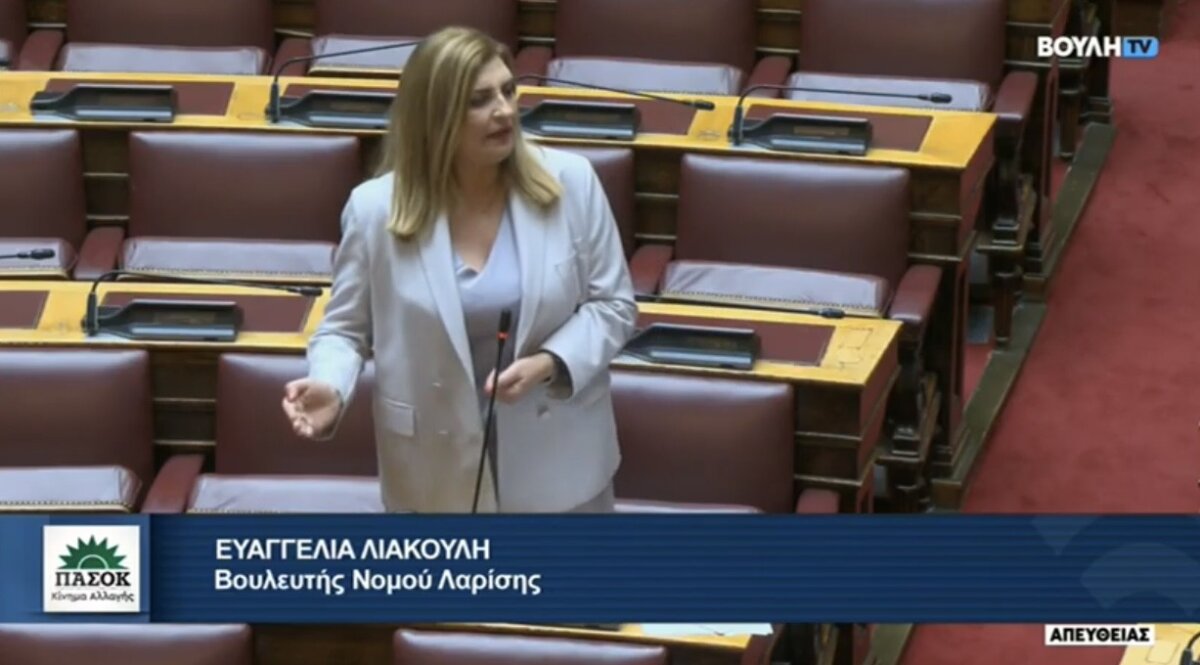 Λιακούλη:« Μονταζιέρες, σκάνδαλα και γρήγοροι πλειστηριασμοί: Όταν η ...
