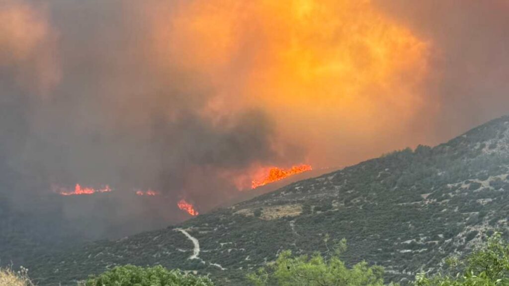 Πολύ Υψηλός (κατηγορία κινδύνου 4) ο κίνδυνος πυρκαγιάς στην ΠΕ ...