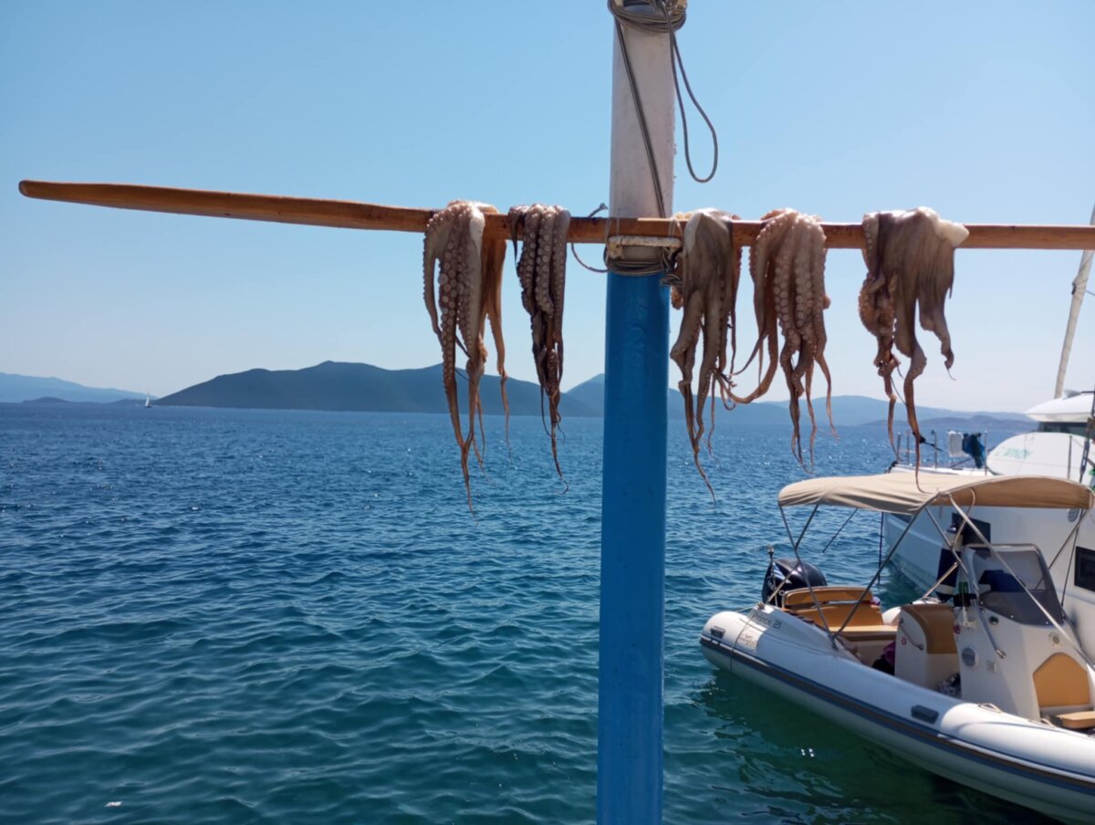 Μοναδικές καλοκαιρινές στιγμές στα παράλια της Λάρισας (ΦΩΤΟ ...