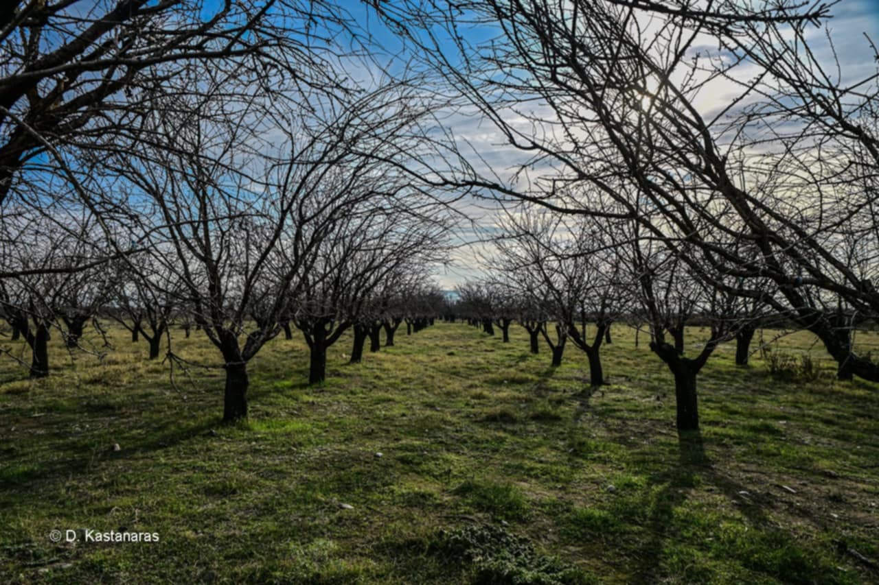 Κάρλα: Αλλαγμένη η εικόνα της λίμνης δυο χρόνια μετά τον Daniel (ΦΩΤΟ ...